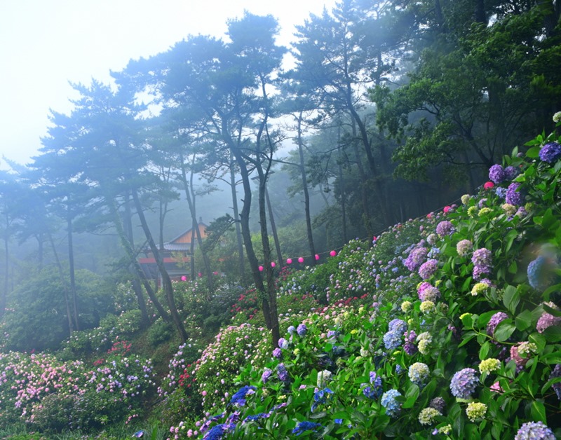 Busan Taejongdae Natural Park + Gamcheon Culture Village + Songdo ...