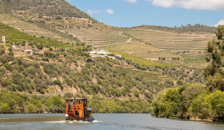 포르투갈 도우루 밸리 와이너리 투어(Douro Valley Wine Tour) - 트래블포레스트