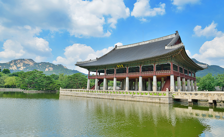 Gyeongbok Palace Morning Tour - 트래블포레스트